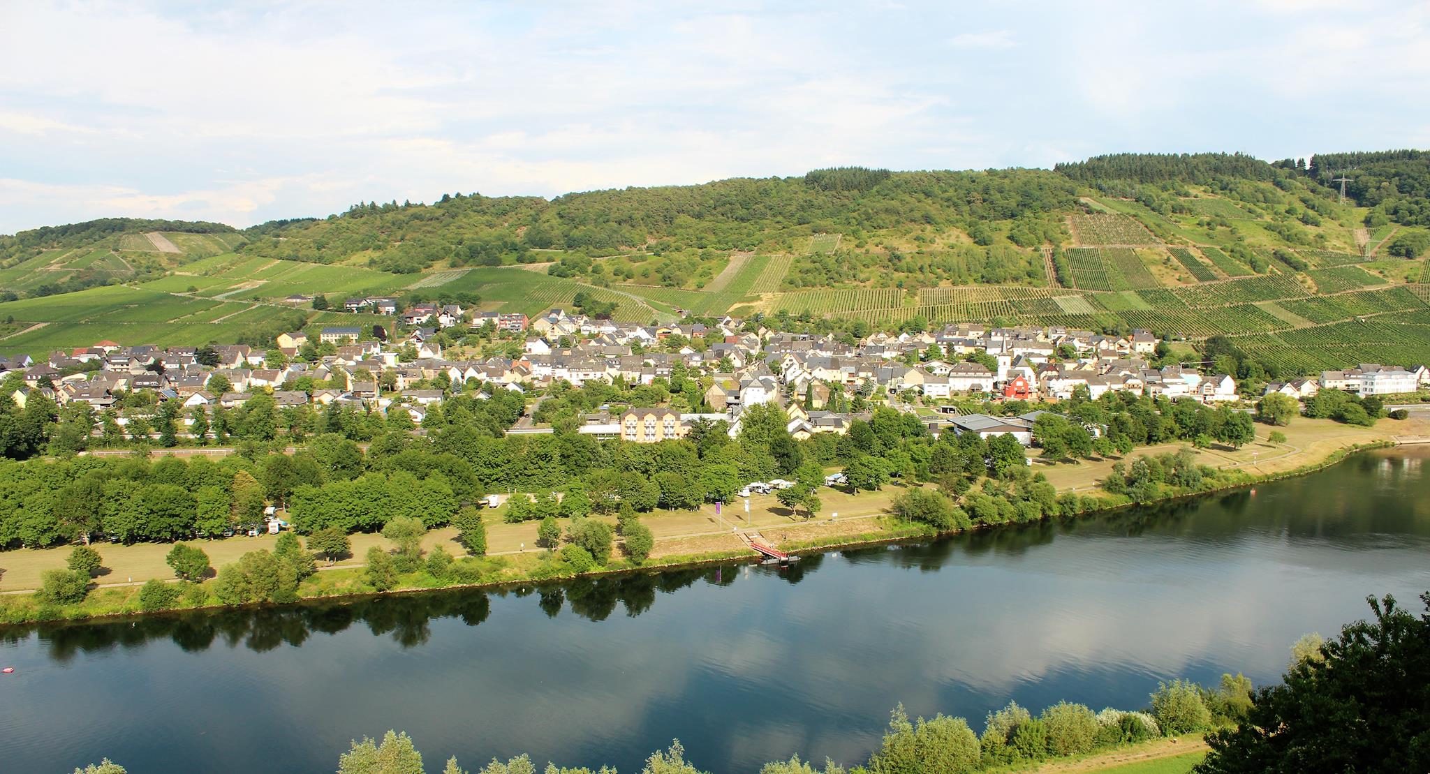Moselstellplatz Wintrich: Wohnmobilstellplatz direkt am Ufer der Mosel