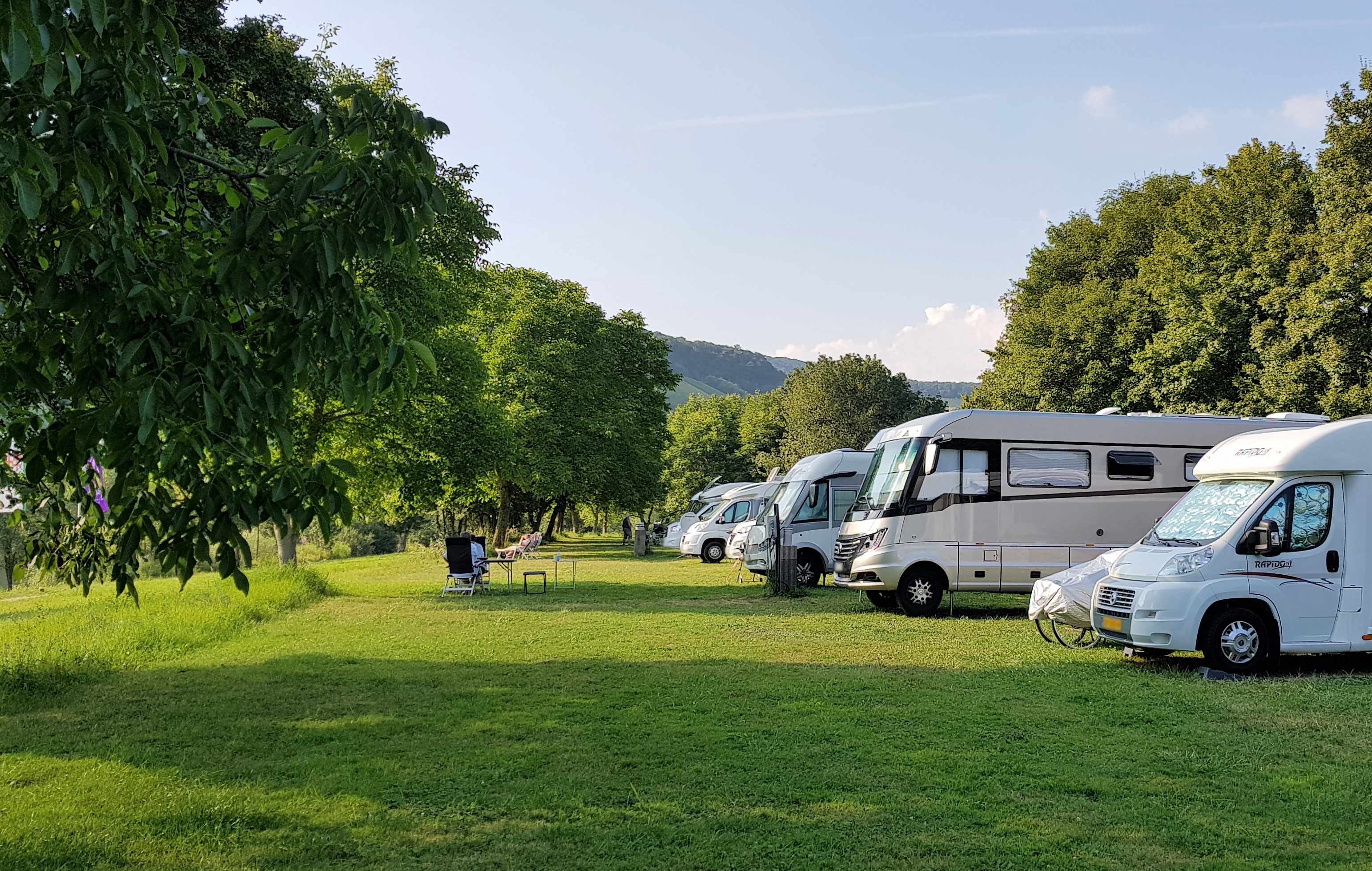 Moselstellplatz Wintrich: Wohnmobilstellplatz direkt am Ufer der Mosel