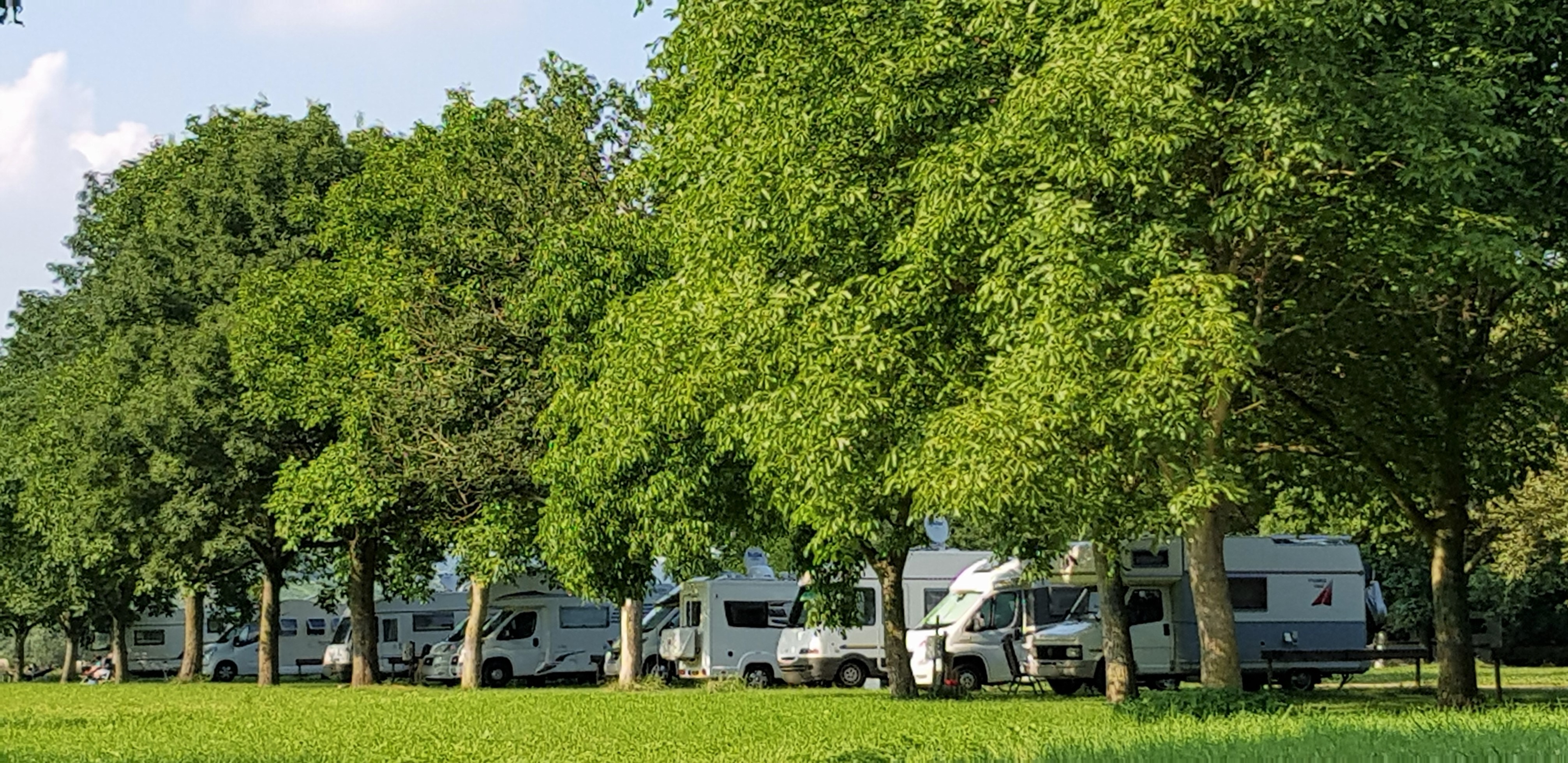 Moselstellplatz Wintrich: Wohnmobilstellplatz direkt am Ufer der Mosel