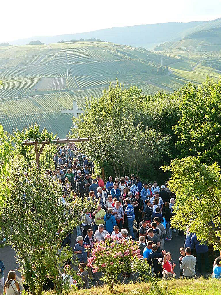 Moselstellplatz Wintrich - Galerie