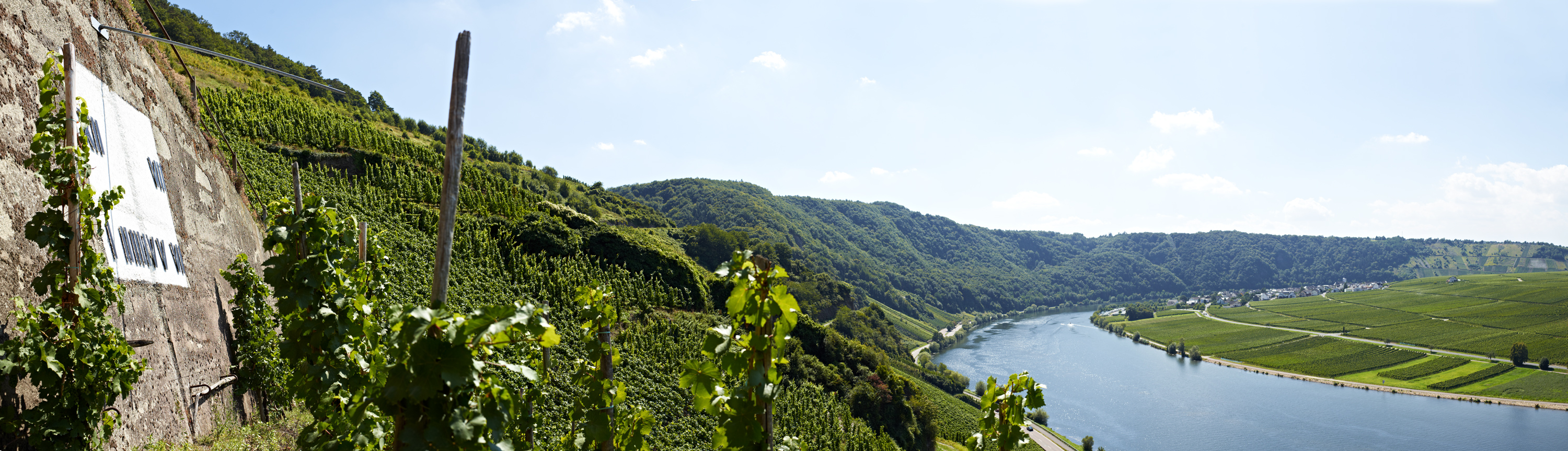 Moselstellplatz Wintrich - Galerie