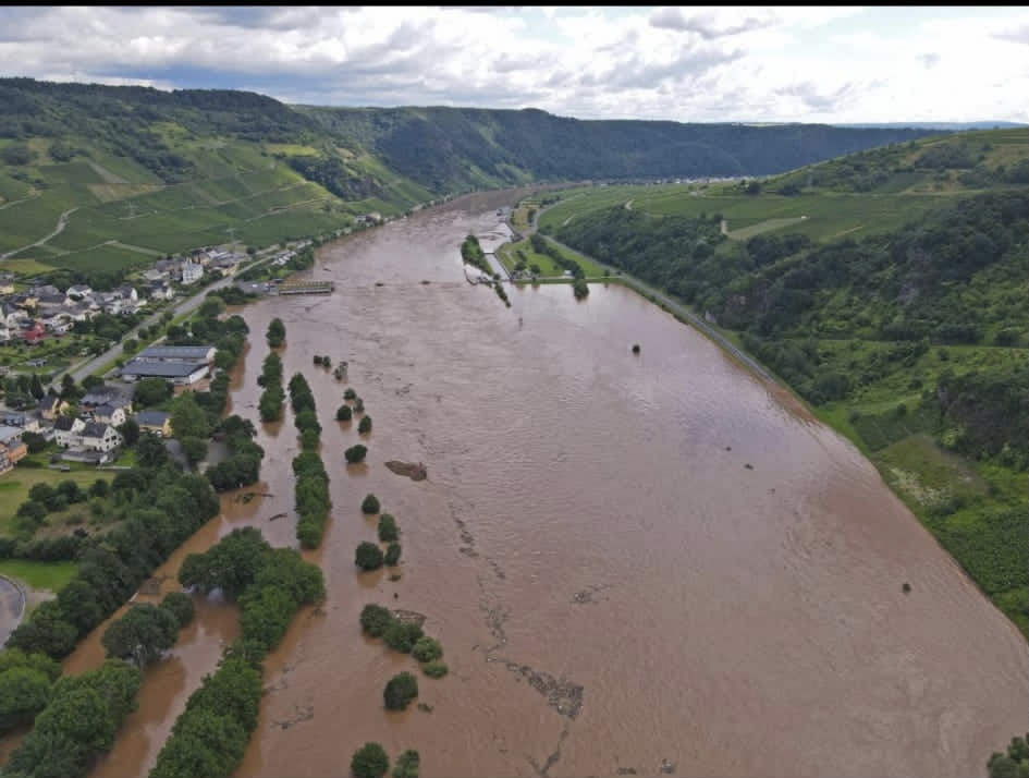 Moselstellplatz Wintrich: Wohnmobilstellplatz direkt am Ufer der Mosel