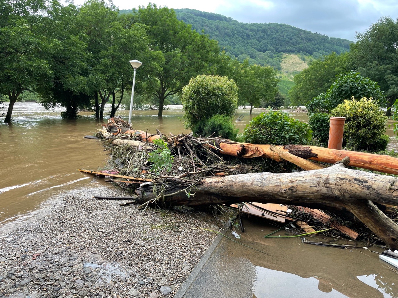 Moselstellplatz Wintrich: Wohnmobilstellplatz direkt am Ufer der Mosel