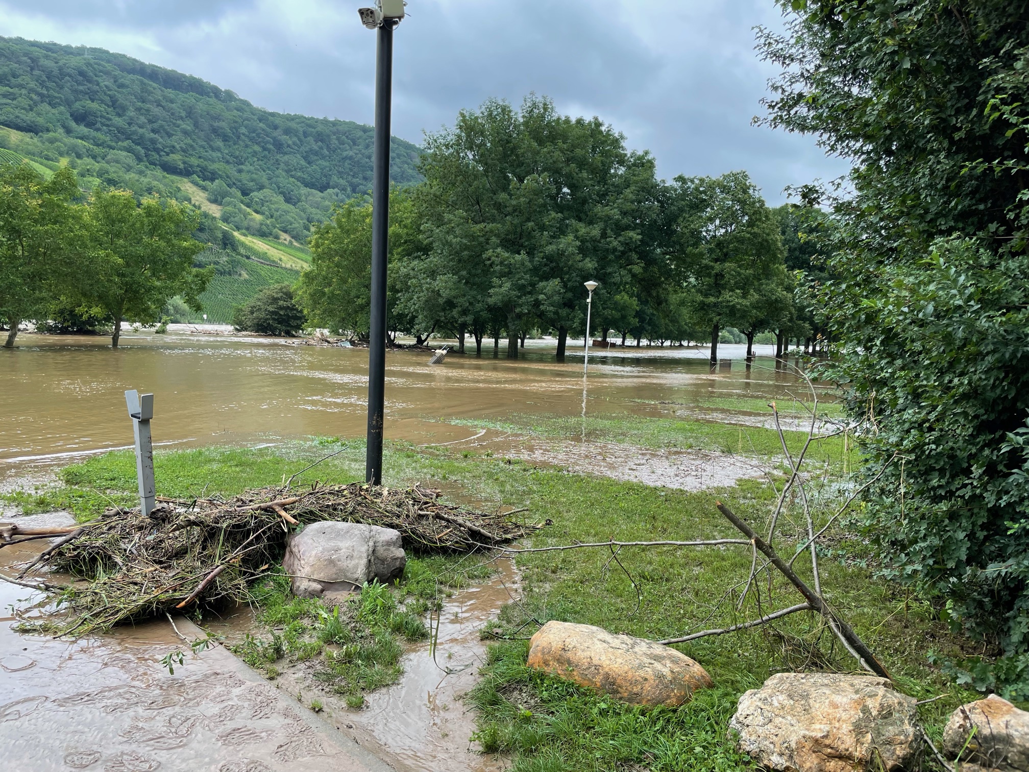 Moselstellplatz Wintrich: Wohnmobilstellplatz direkt am Ufer der Mosel